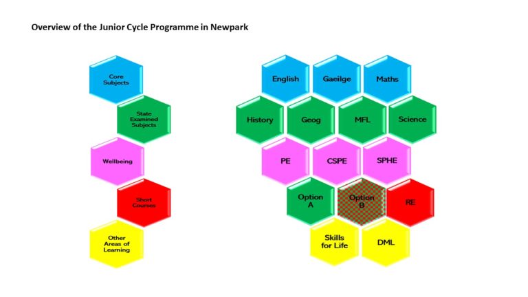 Junior Cycle | Newpark Comprehensive School, Dublin, Ireland